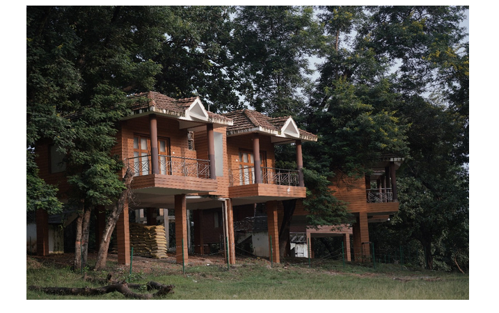 New Tree House